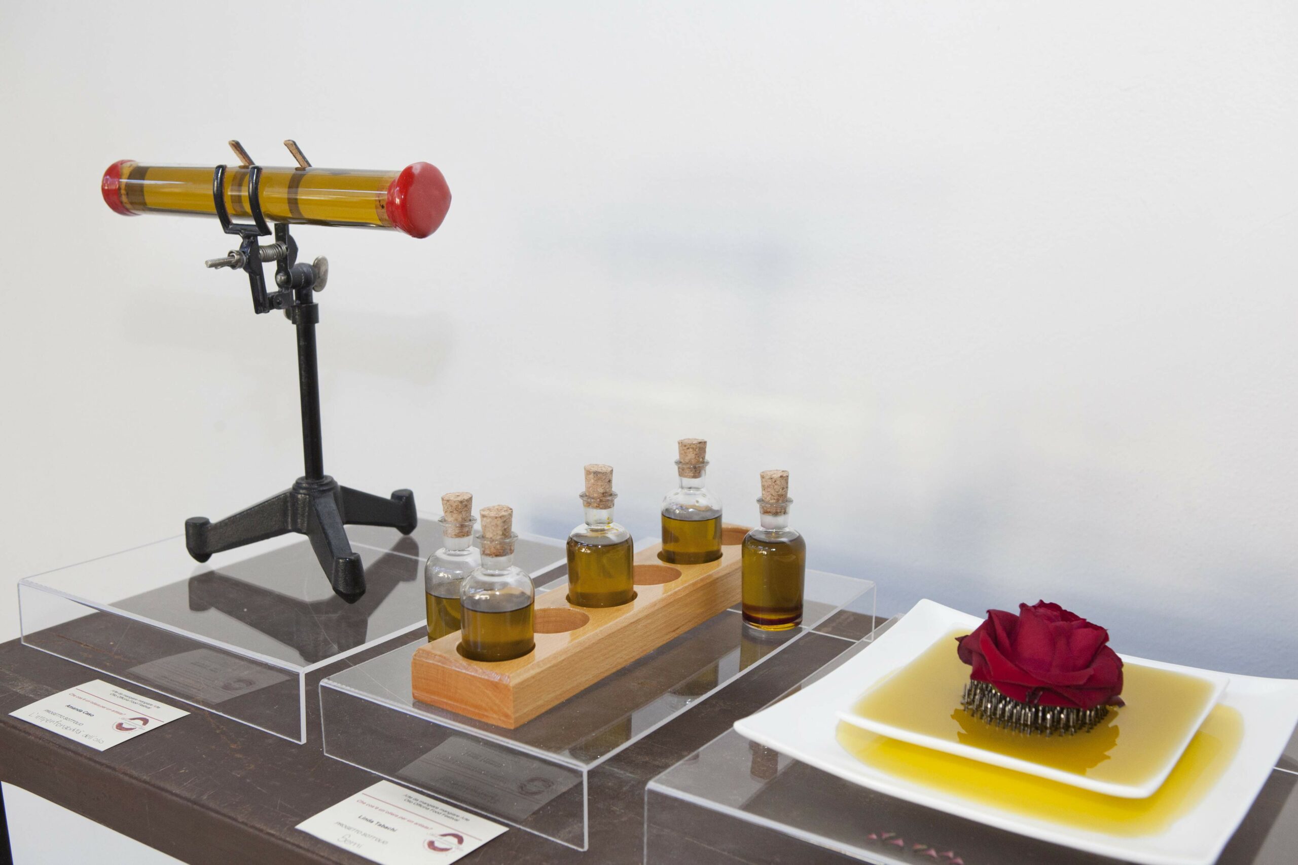 Macchia dopo macchia: la tradizione avanza - Olio Officina Magazine